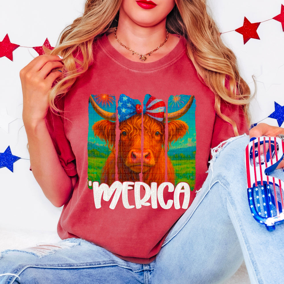 Merica' Highland Cow – SDDbyGinaandMindy